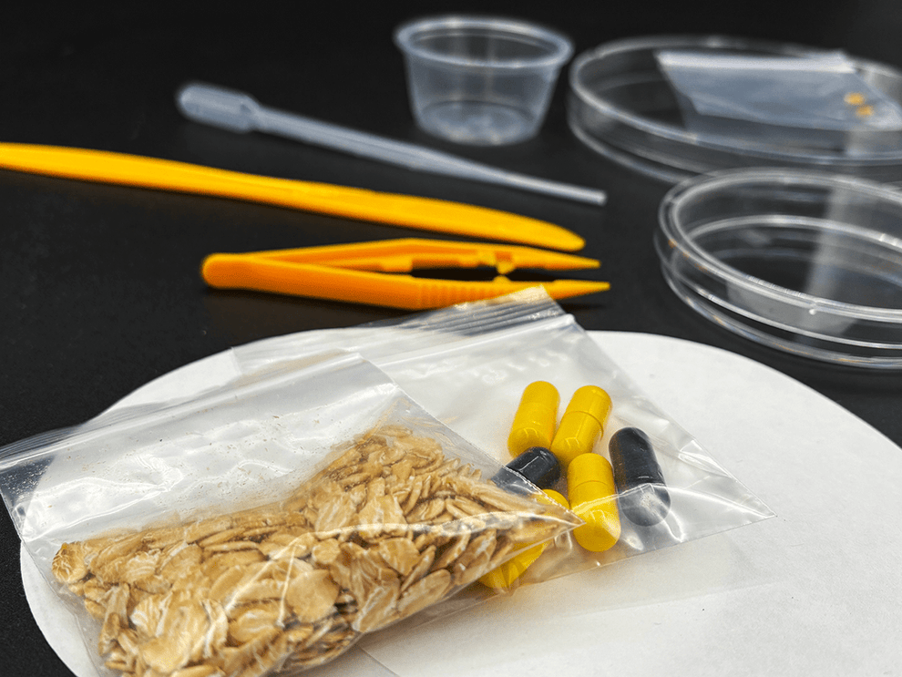 Collector's Slime Mold Blob Science Kit - The Advanced Physarum ...